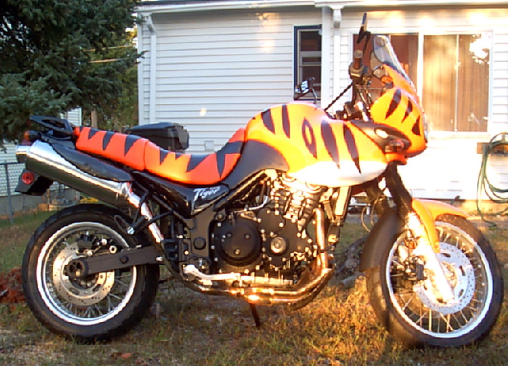 Is it too Tigery? | Triumph Rat Motorcycle Forums